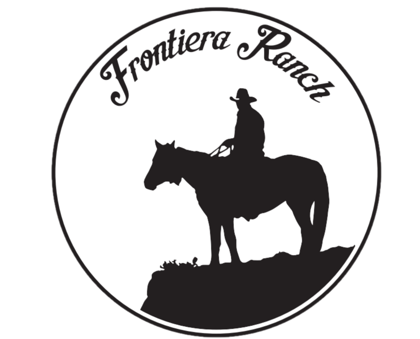 Highland Cattle for Sale | Frontiera Ranch Highland Cattle